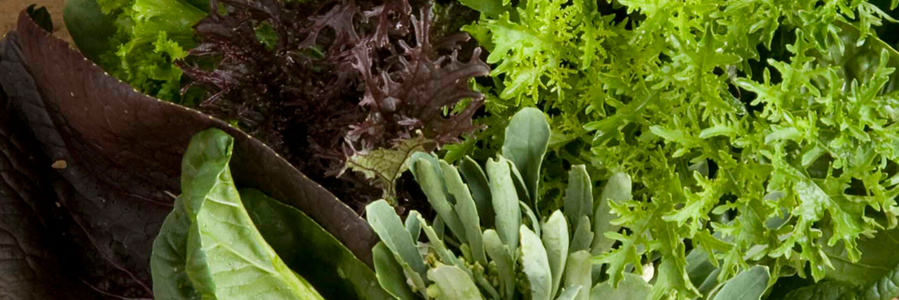 Leafy Greens Asian Seeds – David's Garden Seeds®