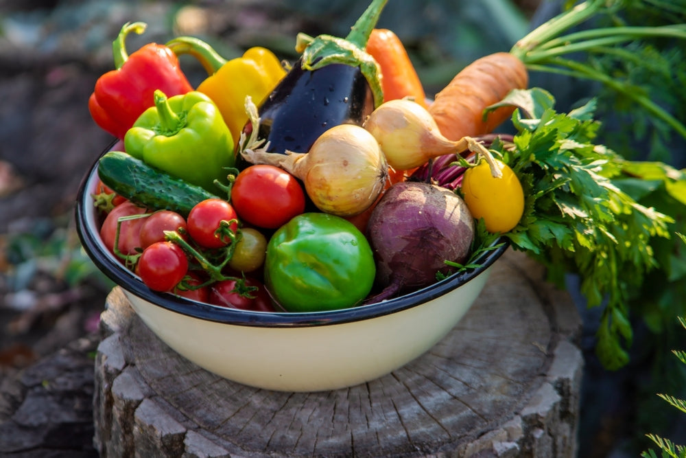 Set Vegetable – David's Garden Seeds®