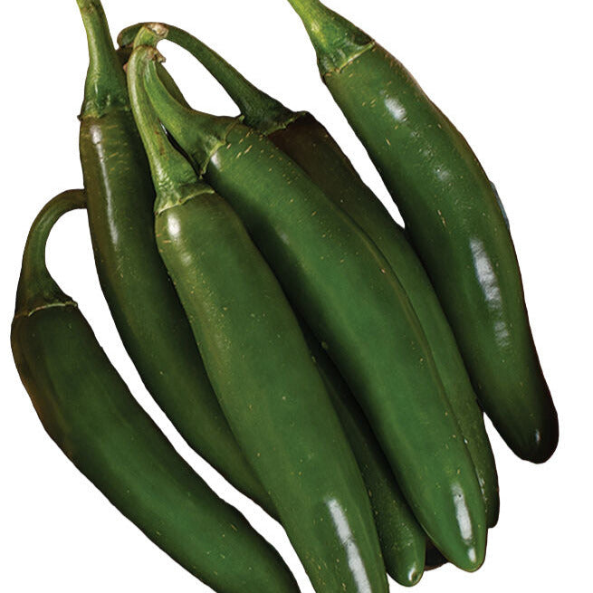 Pepper Serrano Altiplano 10 Non-GMO, Hybrid Seeds v – David's Garden Seeds®