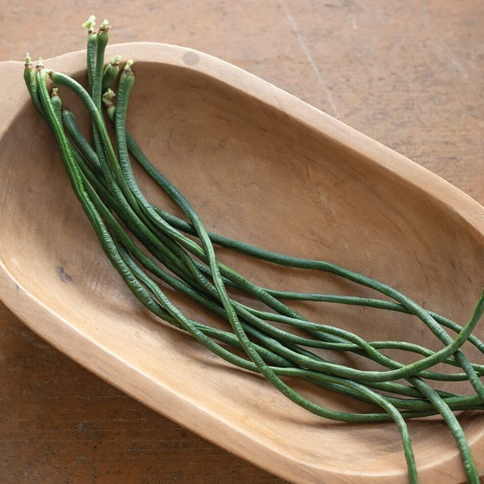 Bean Pole Yard Long Python (Green) 50 Non-GMO, Heirloom Seeds – David's ...