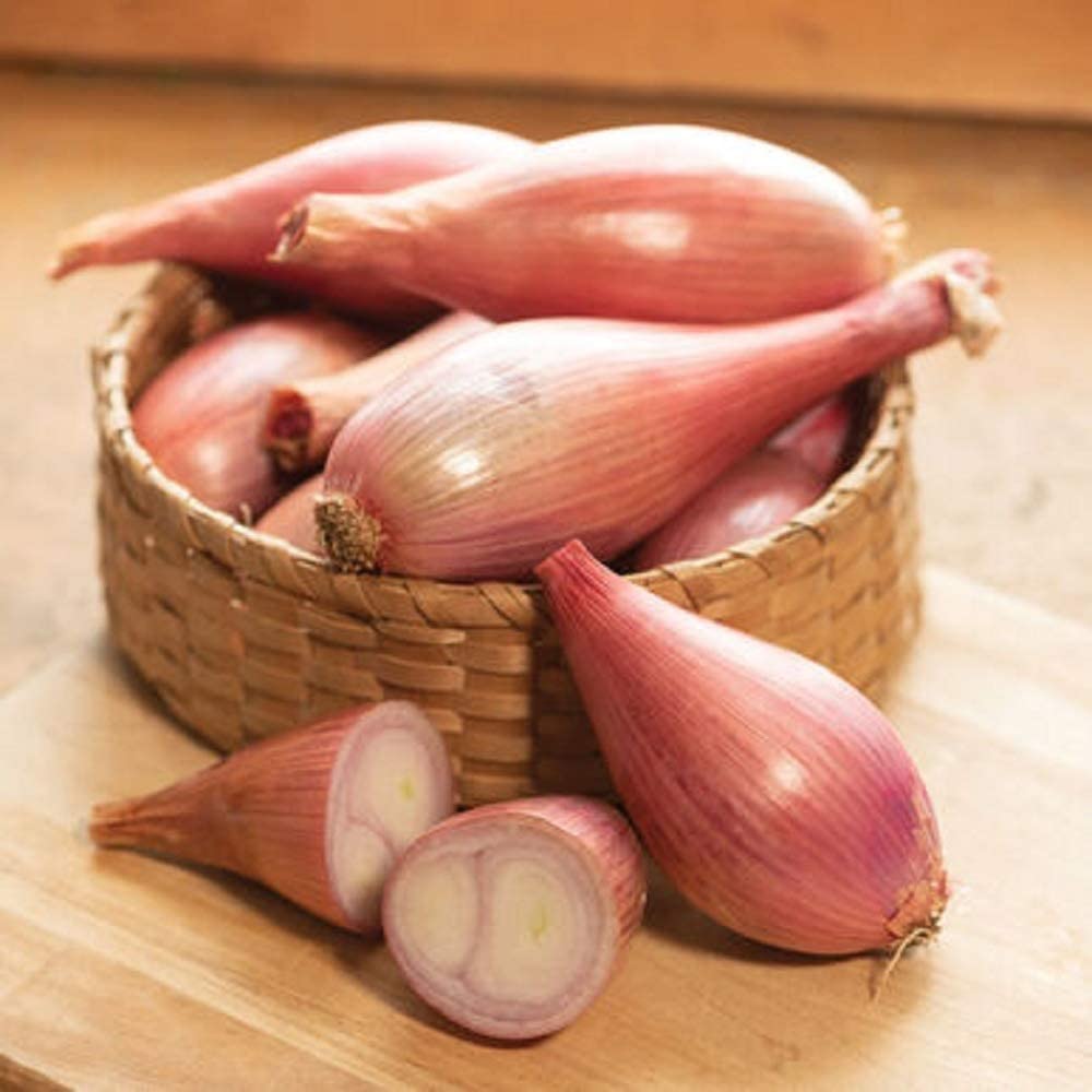 Shallot Creme Brulee 50 Non-GMO, Hybrid Seeds – David's Garden Seeds®